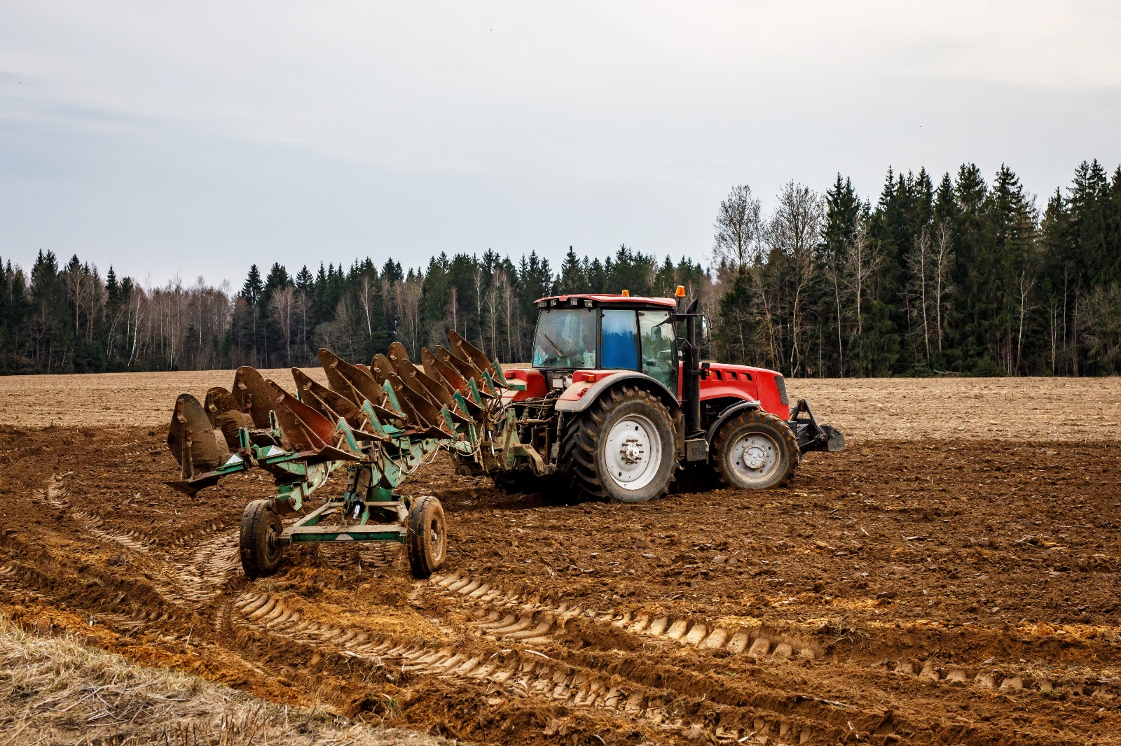 Plugul – Cum sa il alegi - Meca-Rul